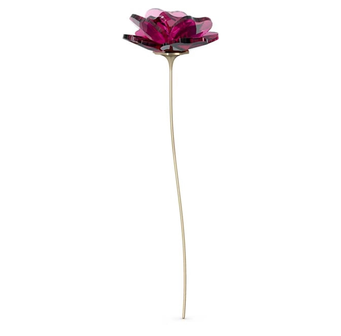 Swarovski Garden Tales Rose (SKU: 5557800) – M.S.C. Sales